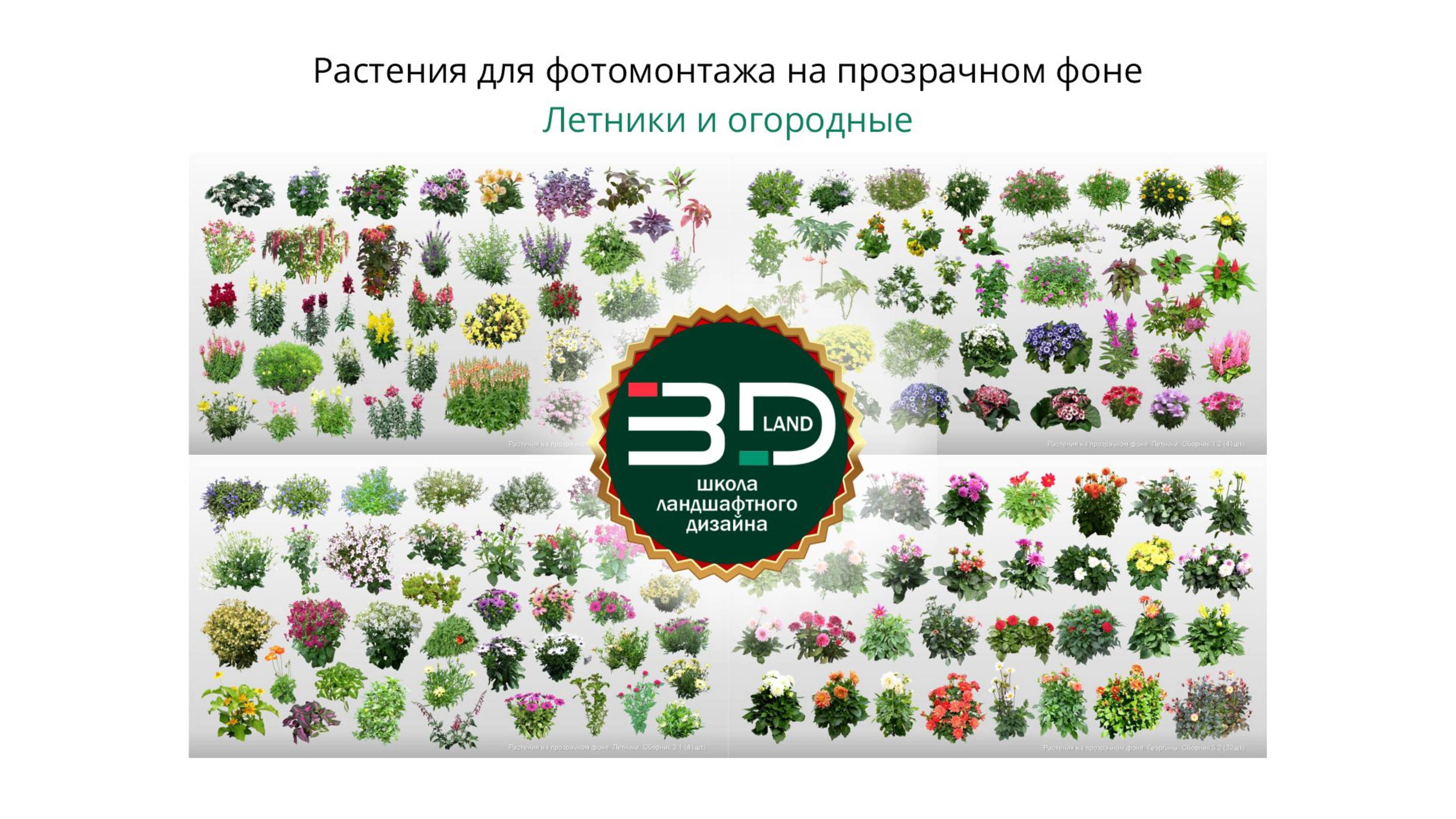 Летники и огородные для фотомонтажа на прозрачном фоне