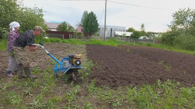 "ГУСИНЫЕ ЛАПКИ"_Мотоблок Нева МБ-2. 4 сотки-за 14 минут!Они лучшие!