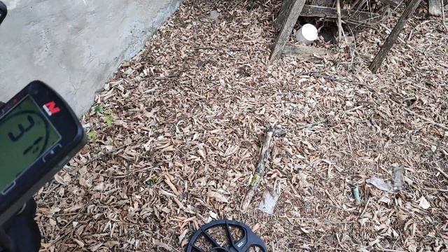 Прогулка с металлоискателем по заброшенному хутору. Эквинокс 600 Ч.3