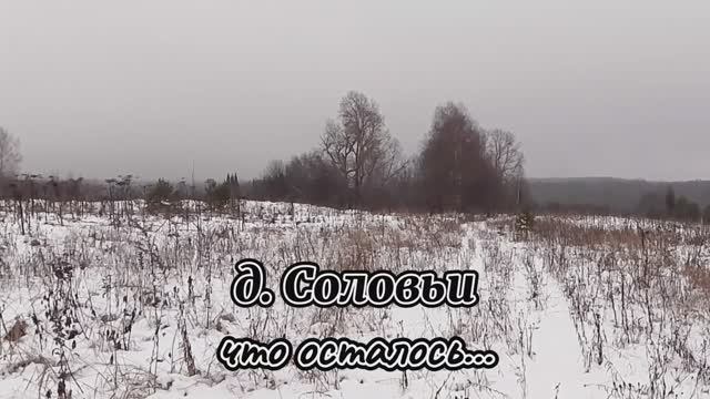 Деревня Соловьи, что осталось.mp4