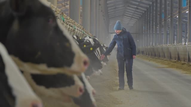 Видеоотзыв о программе "М-комплекс"