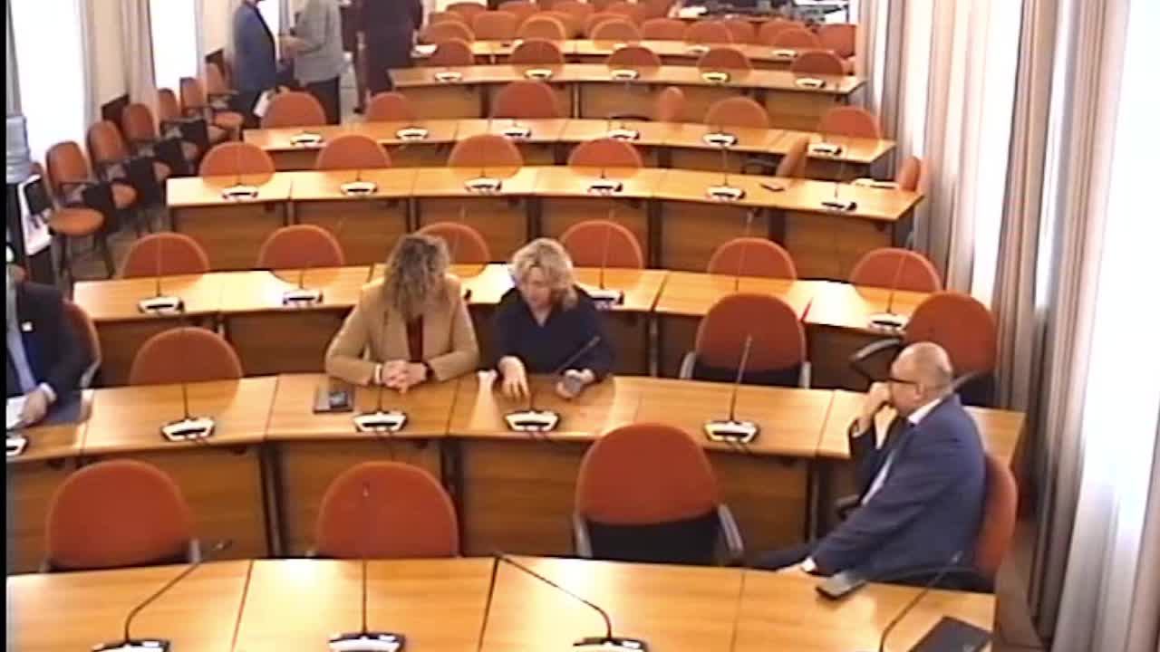 Заседание постоянного комитета по социальной политике 11.12.2024