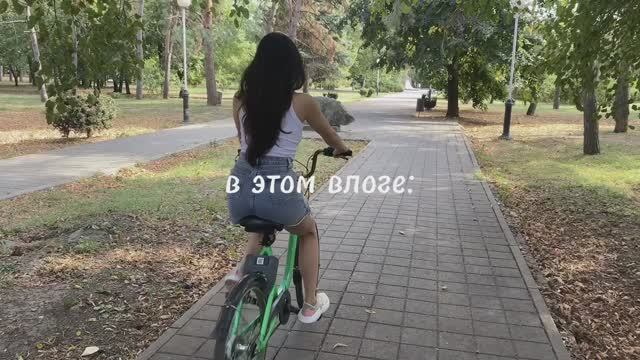 15_vlog | нашествие дельфинов | катаемся на сапах | поезд по ущелью