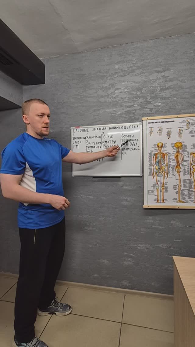 Базовые знания необходимые занимающемуся.