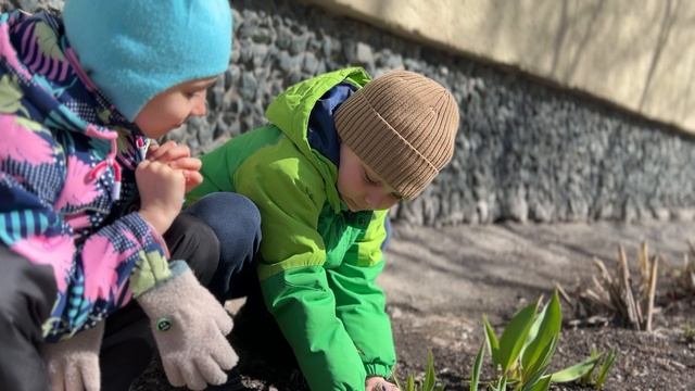 Добрый город