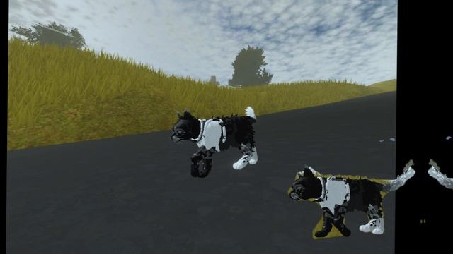 Warriorcats/EDIT/КВ/ЭДИТ