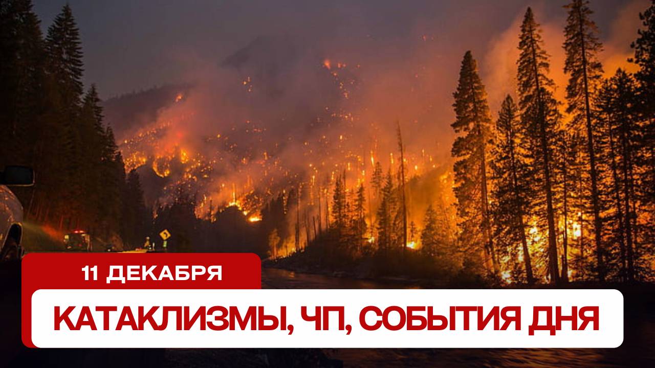 Новости сегодня 11.12.2024. Катаклизмы за день, ЧП, события дня