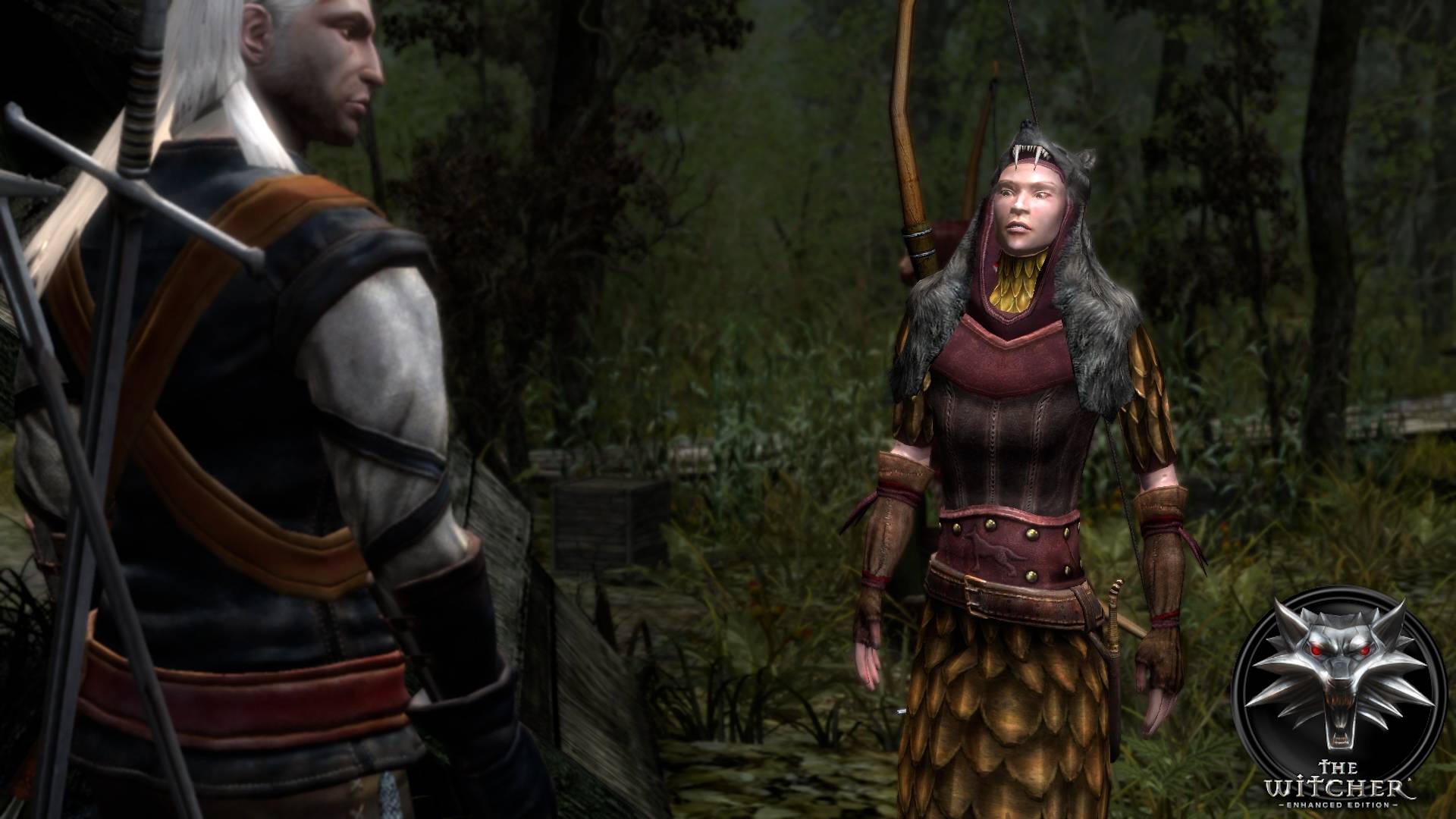 #10 Эльфы, друиды и лесорубы (молчаливое прохождение) - The Witcher