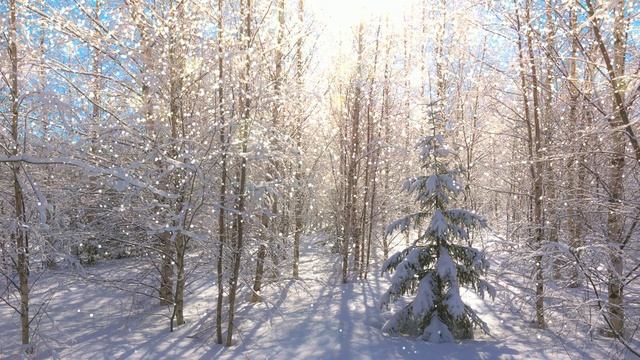 Футаж. Зимний пейзаж 122