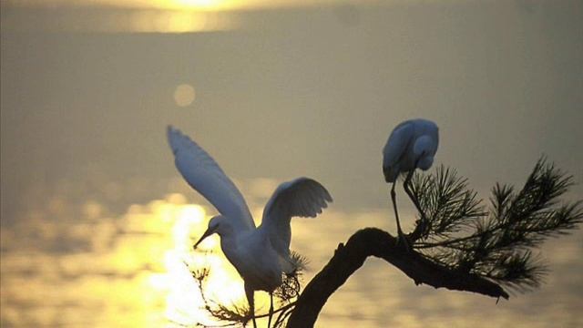 Колыбельная для Алёнки