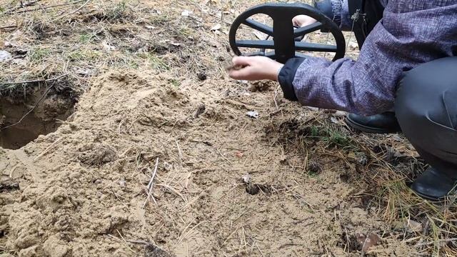 ✅Как собирать осенние грибы. Лесной поход. Ч. 1✅