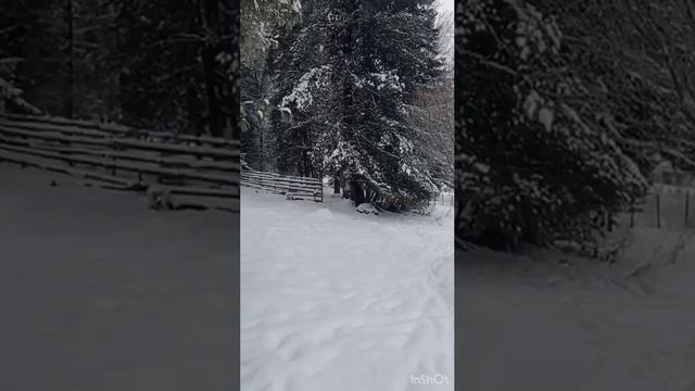 Красота Алтая