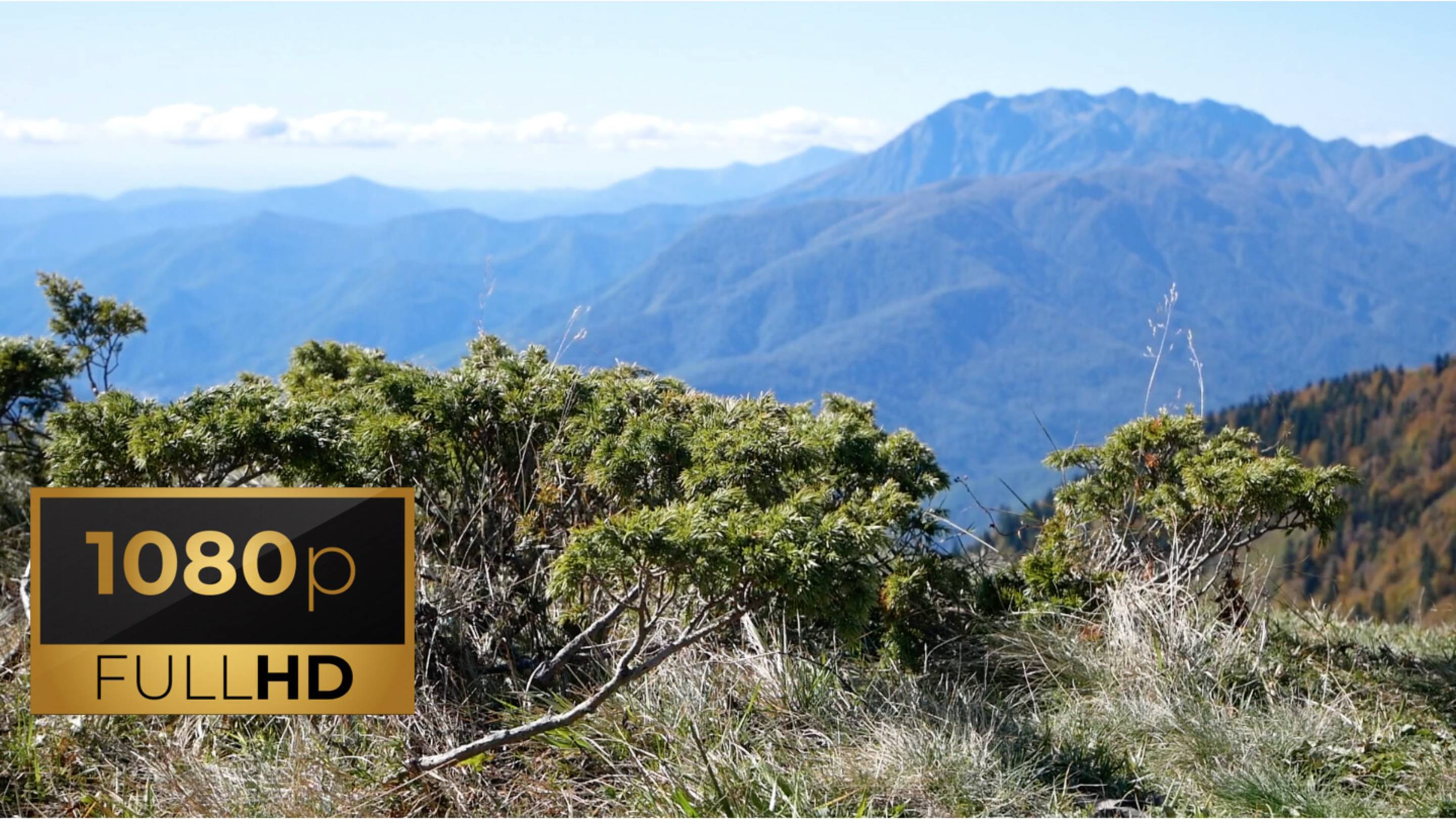 Вид на горы. Расслабляющие звуки сверчков. / Mountain view. 1 час. FullHD.