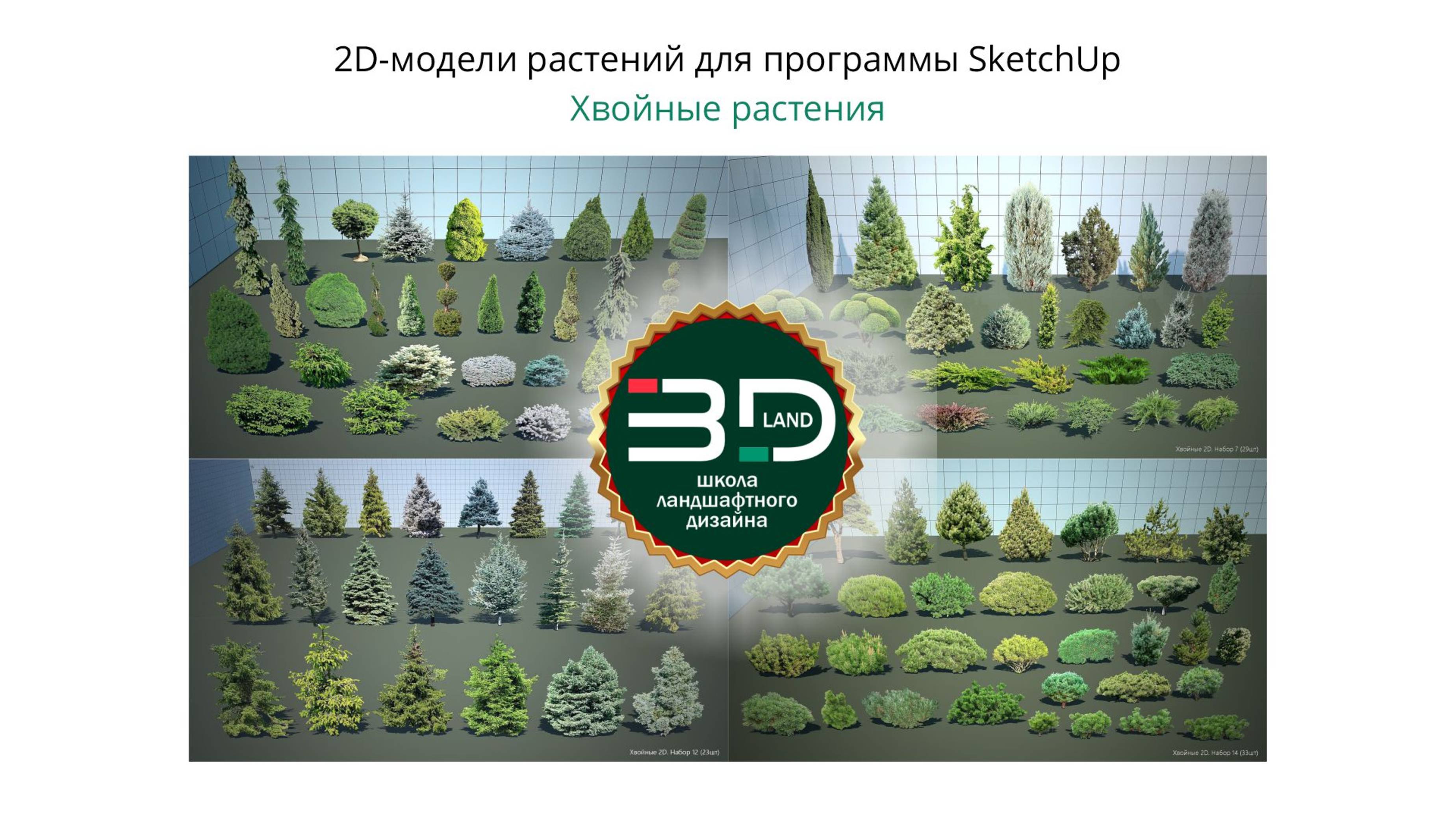 2D-модели растений для SketchUp. Хвойные растения