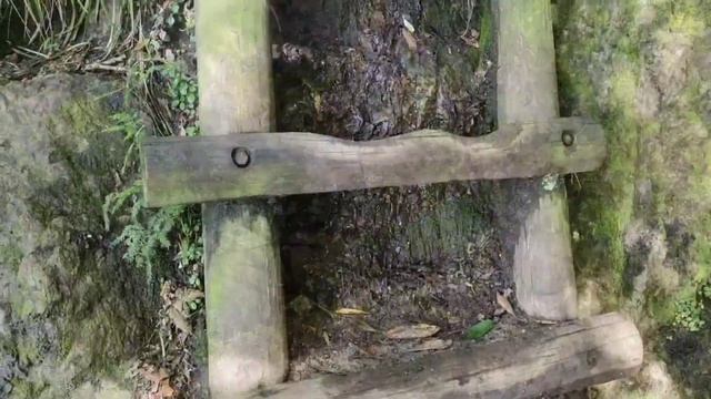 Кейптаун: Подъем на Столовую гору по 'Ущелье Скелетов".