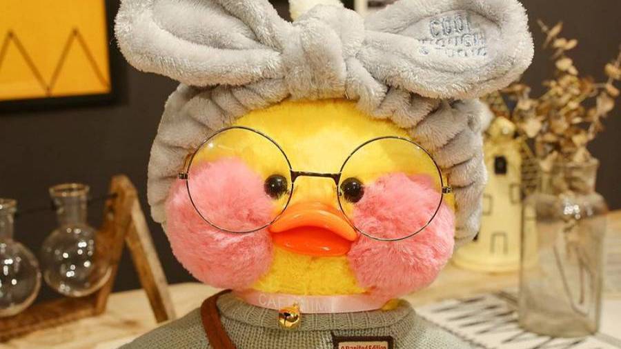 Утка Lalafanfan. Распаковка посылки.