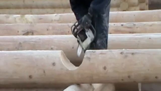 БорИзба - разметка и рубка в чашу