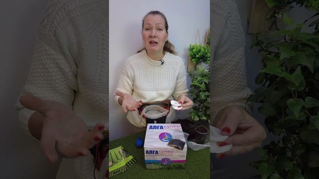 Садовый мир, Анна Жихарева, садовод со стажем Erid: 2SDnjek2EKd