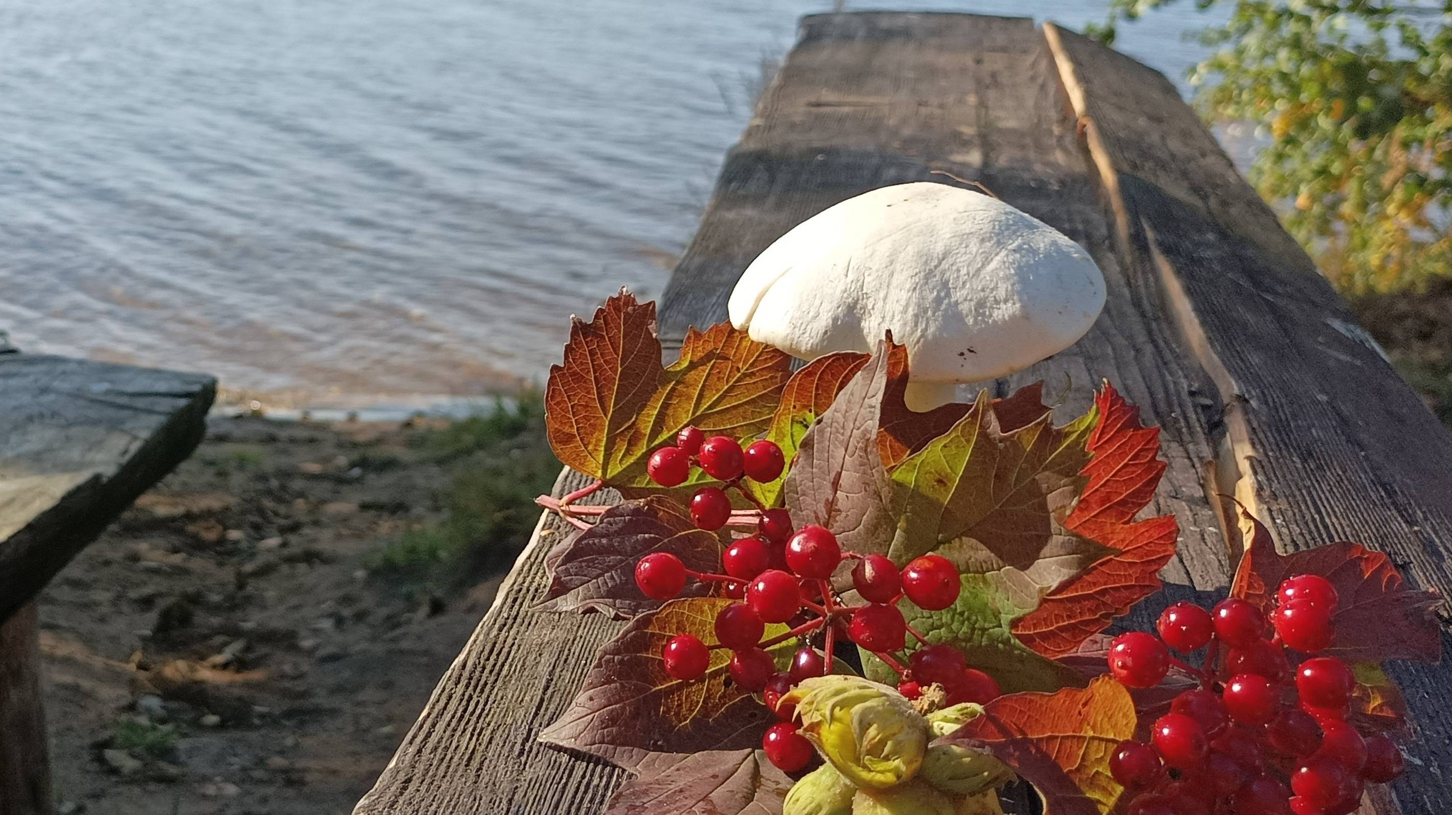 Вокруг озера Хепоярви