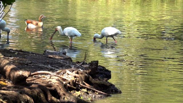 12314554_3840_2160_25fps