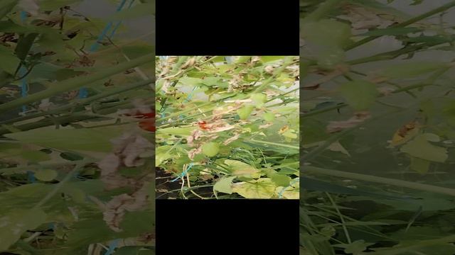 Когда все сняли, а у тебя еще есть