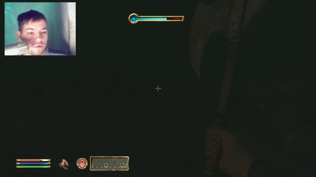 The Elder Scrolls IV:Oblivion №2 Невидимые жители