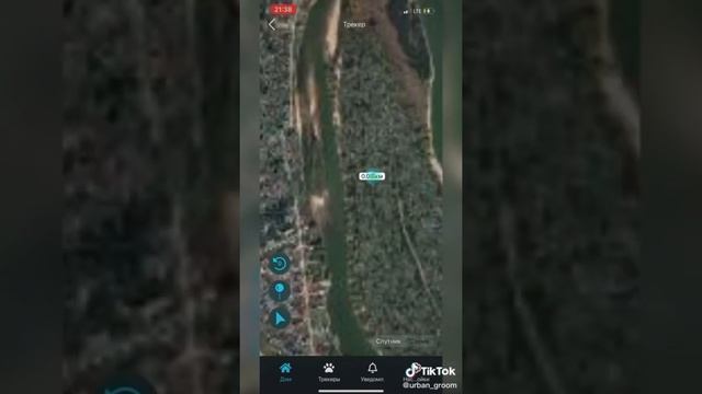 Обзор GPS трекера для собак и кошек Petsee (версия 2022 года)