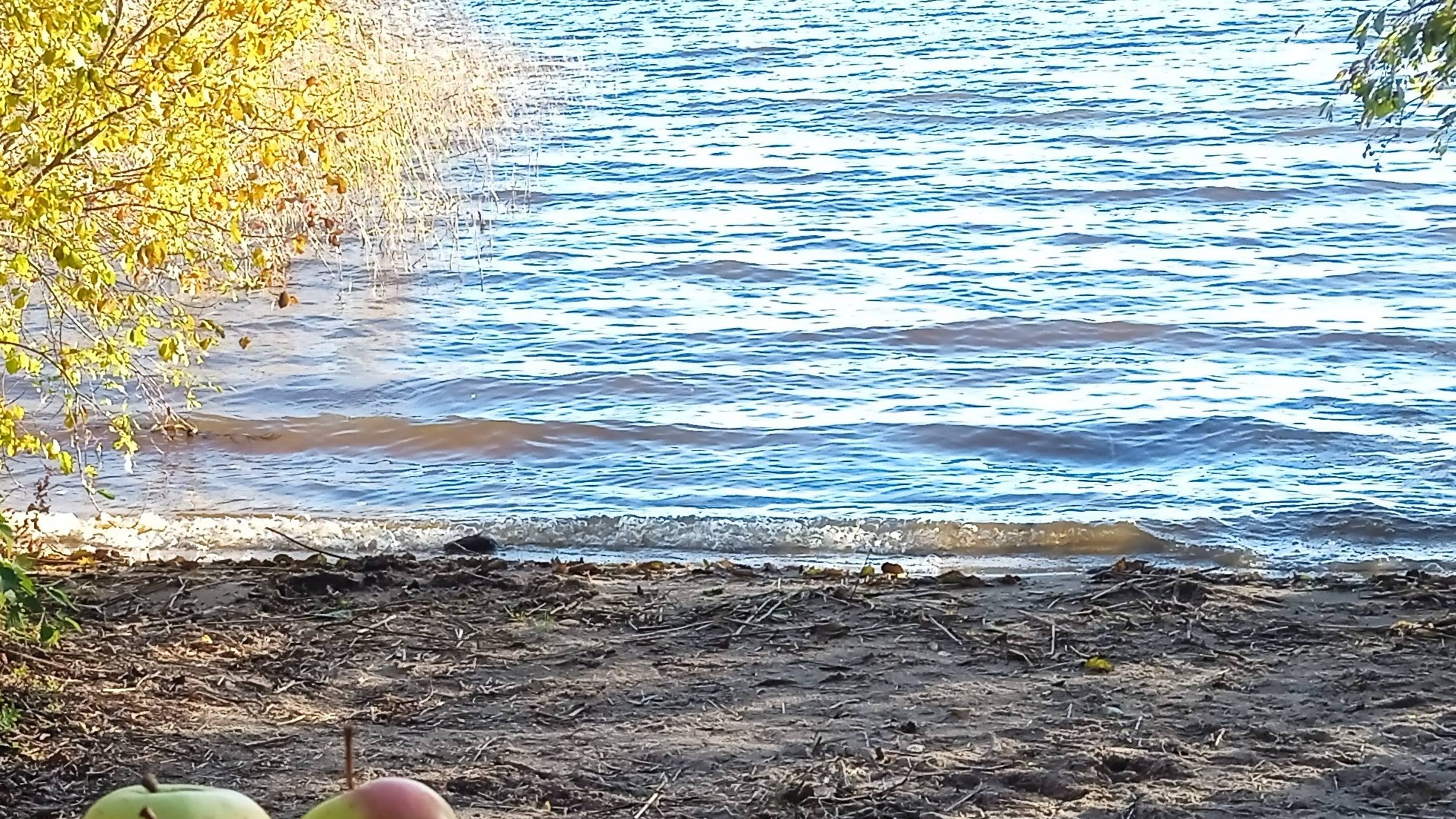 Поздняя осень