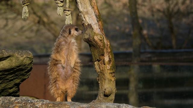 14928782-uhd_3840_2160_30fps