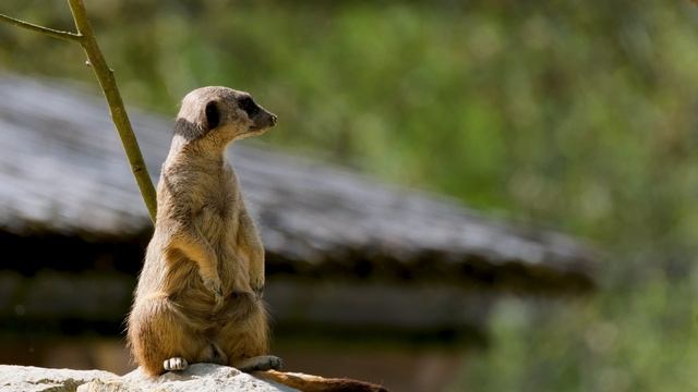 17016010-uhd_3840_2160_30fps