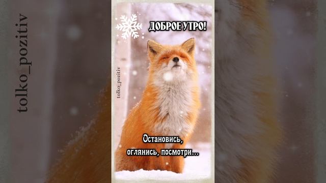 С добрым утром!