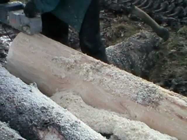 БорИзба - снятие коры электрорубанком