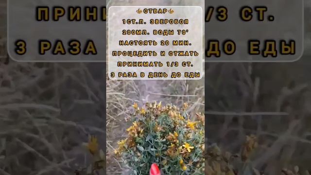 МОЩНОЕ СЕДАТИВНОЕ И УСПОКАИВАЮЩЕЕ СРЕДСТВО