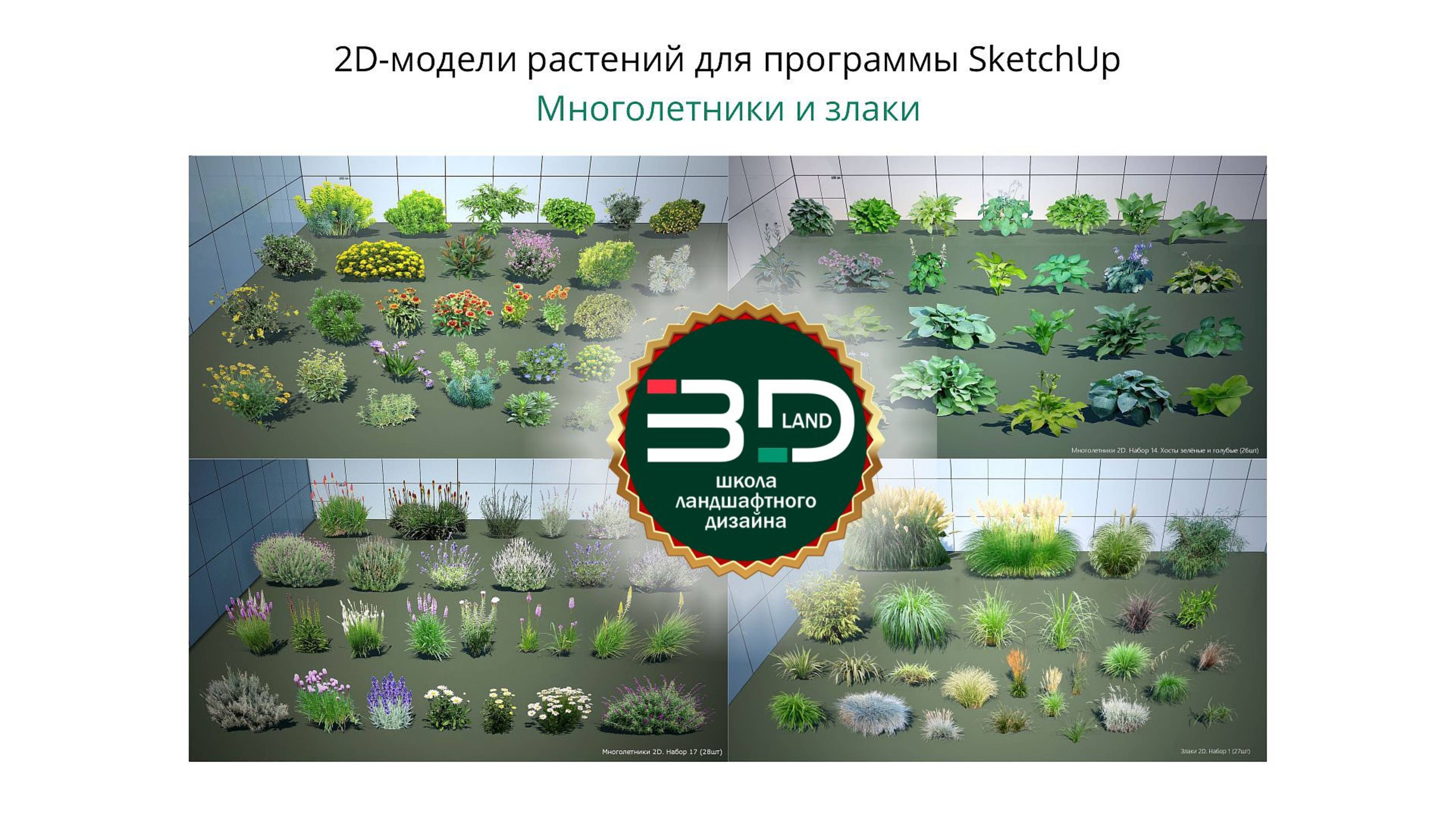 2D-модели растений для SketchUp. Многолетники и злаки