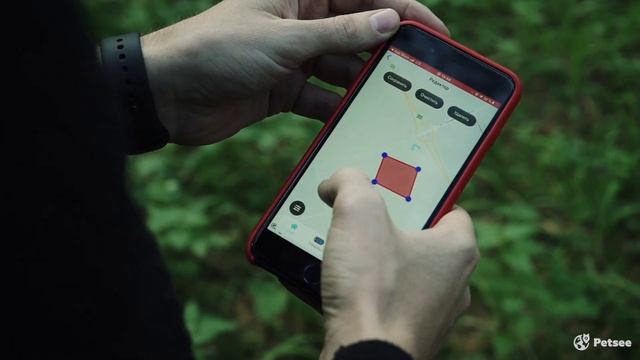 Обзор GPS трекера для собак и кошек Petsee (версия 2020 года)