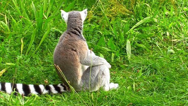 14332780-uhd_3840_2160_25fps