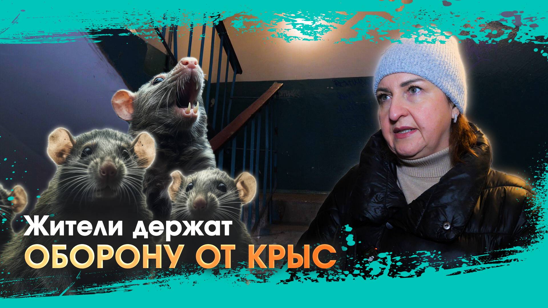 Крысы против жителей уфимской многоэтажки. Почему грызуны появились в доме?  | Наш дом