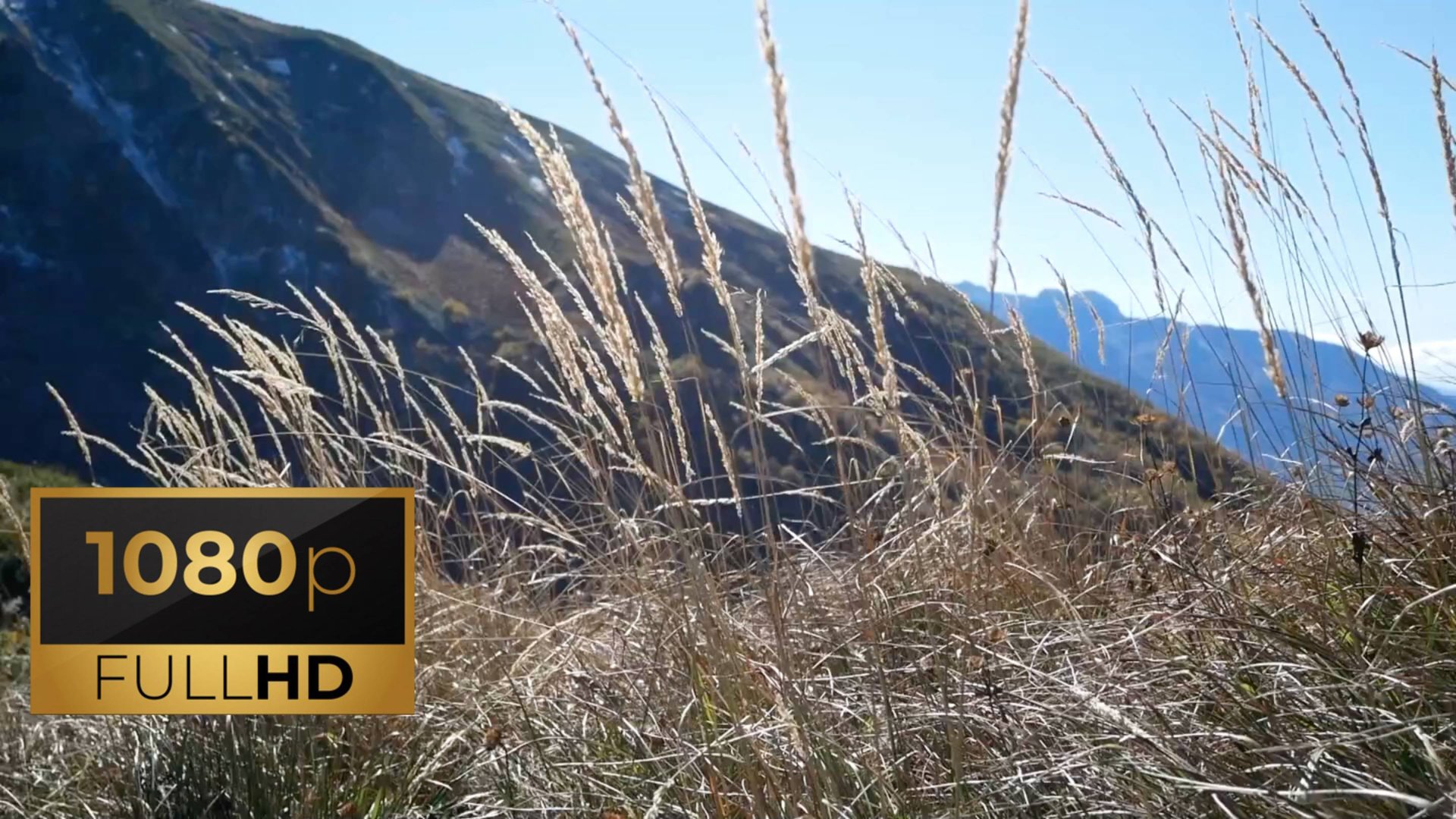 Вид на горы из высокой травы. Расслабляющие звуки сверчков. / Mountain view. 1 час. FullHD.