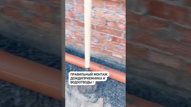 Дождеприемник