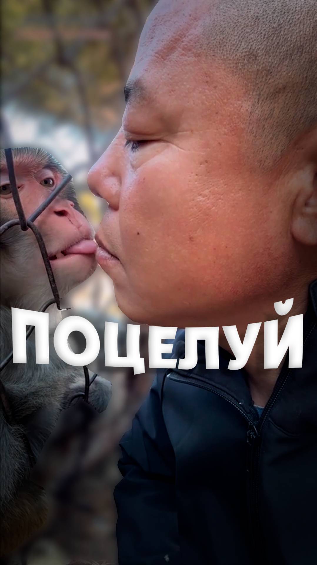 Сны и разочарование