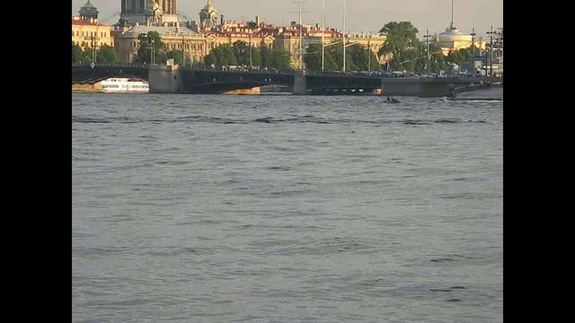 Петербургская навигация