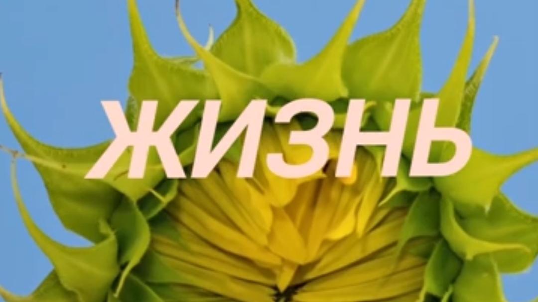 Жизнь (клип)