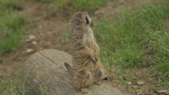 12256172_3840_2160_30fps