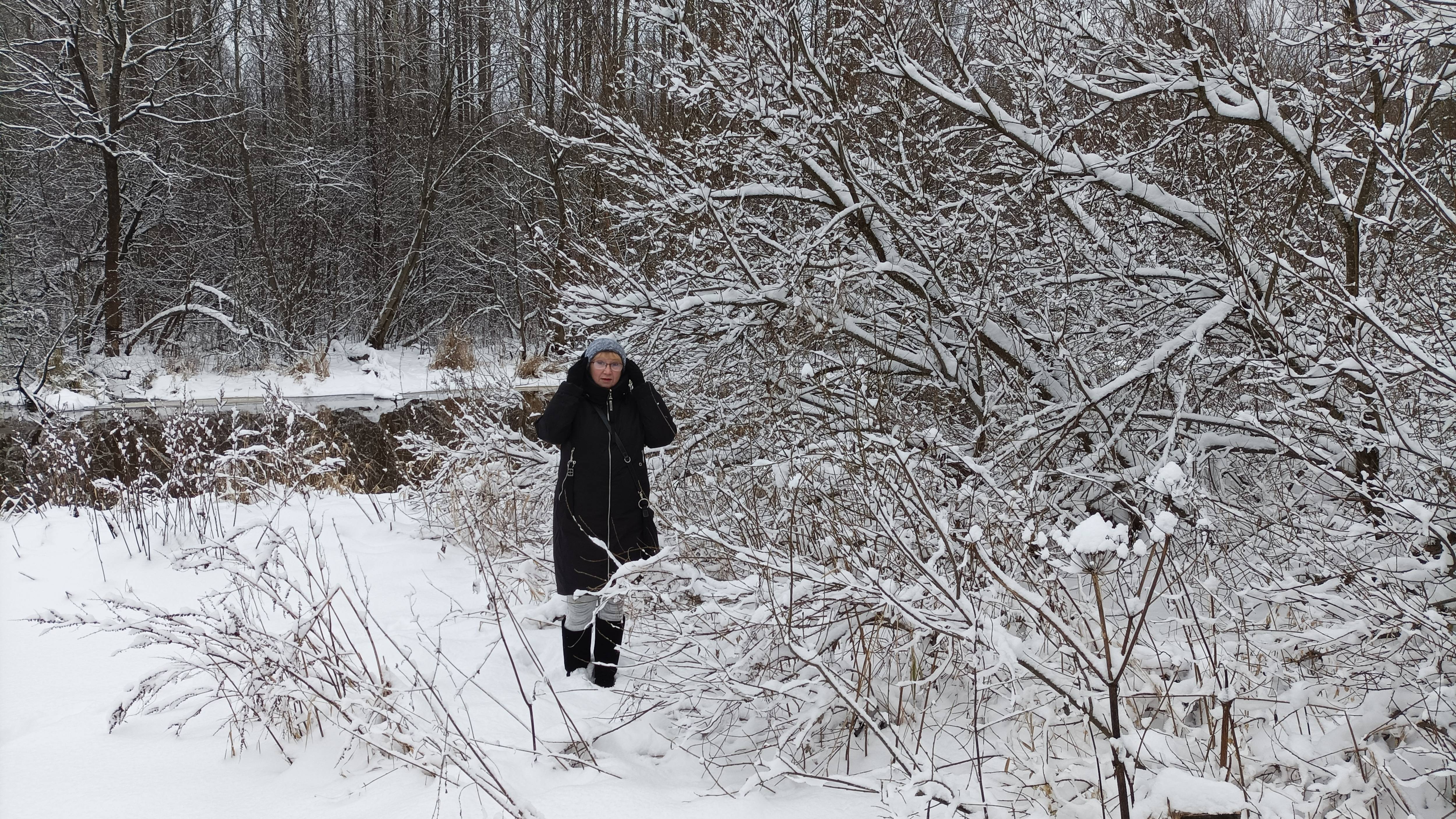 Устье Муринского ручья