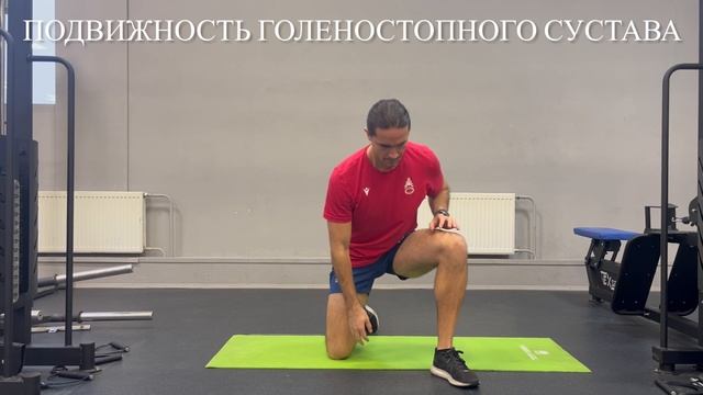 Подвижность голеностопного сустава