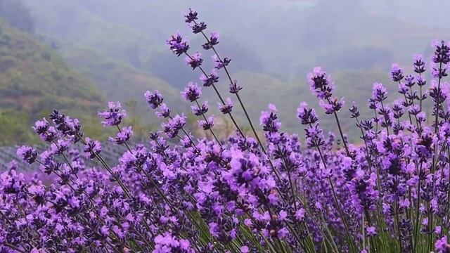 Колыбельная про дождик, тихая спокойная песенка про дождик для детского сада.