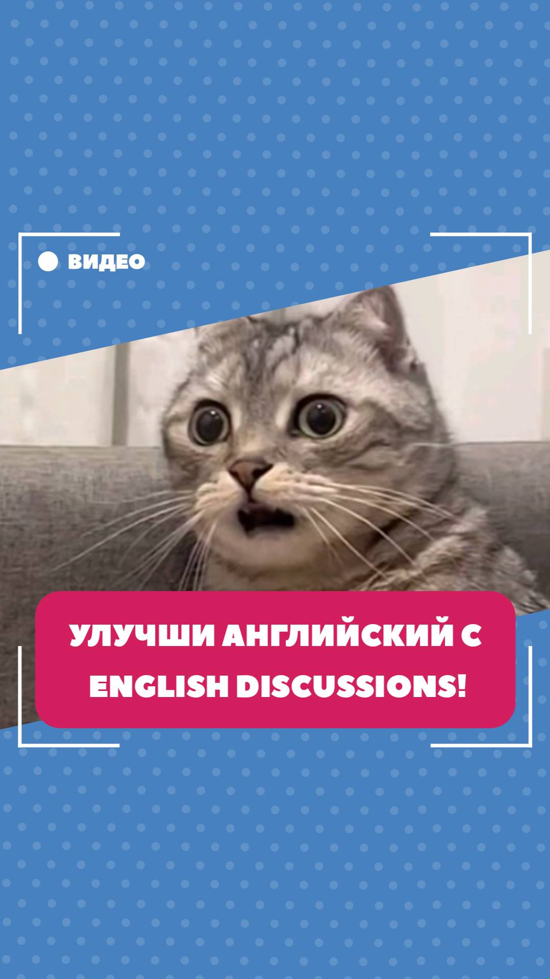 Занятия в школе английского языка English Discussions