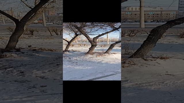 Из Р. Беларусь в Р Бурятия . Не большое на блюдение