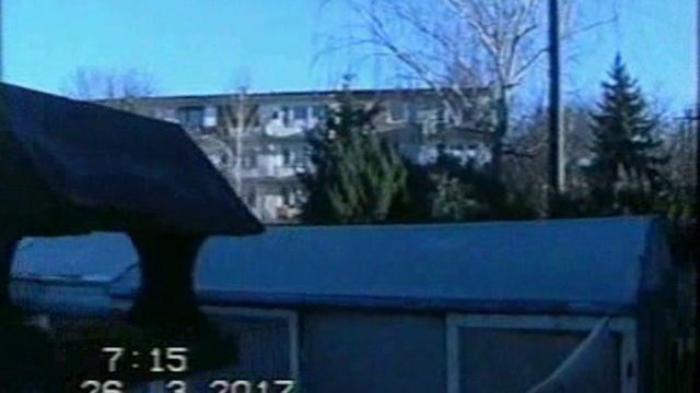 2017 Март Дом Огород