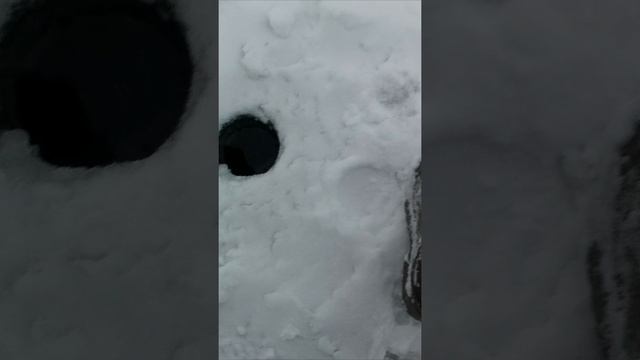 Лещь на гвоздикубик сход обеспечен ныряем в лунку за рыбой.